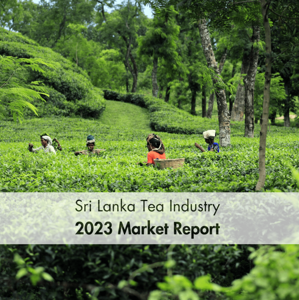 Sri Lanka Tea Industry 2023: Data Insights and Visualisations – Tea Tailors